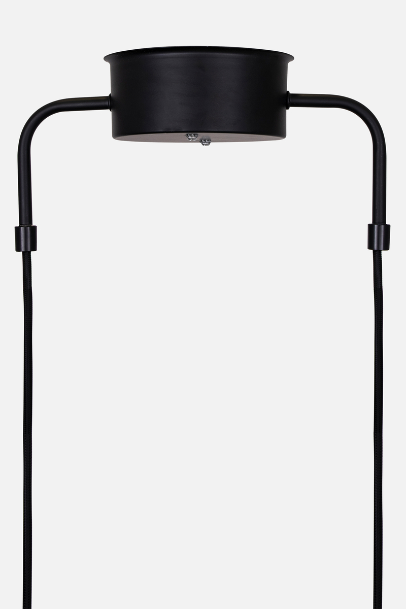 Pendant Curve 5 — Globen Lighting